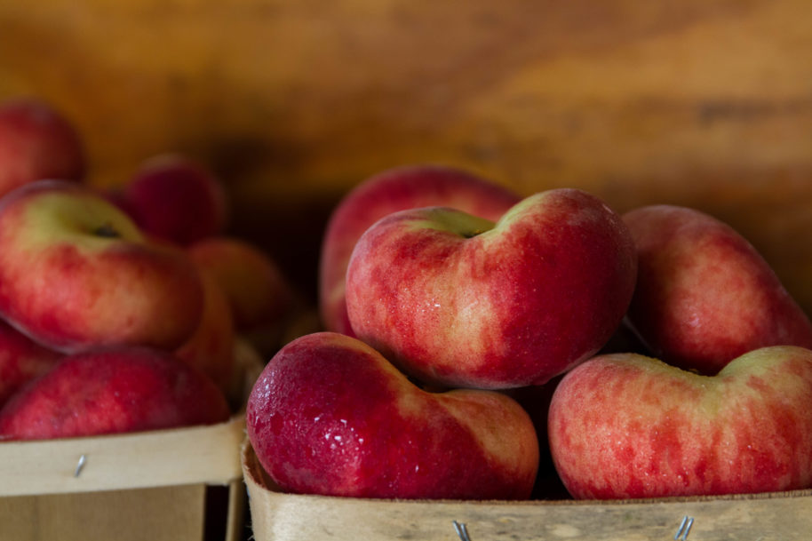 Pick-Your-Own Fruit | Quarry Hill Orchards