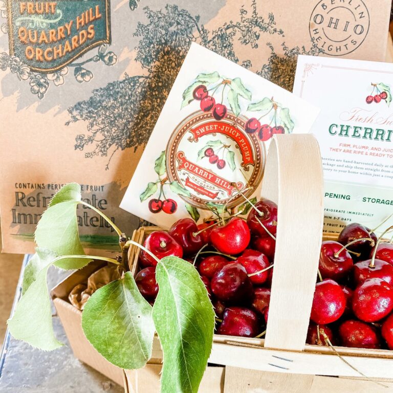 Pick-Your-Own Fruit | Quarry Hill Orchards